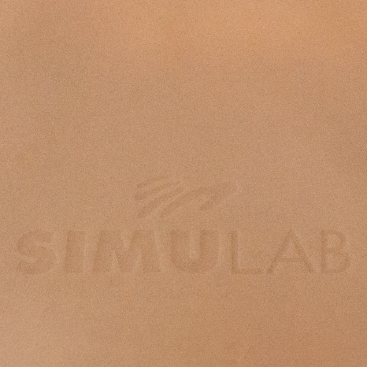 Lumbar Puncture Trainer – Simulab Corporation