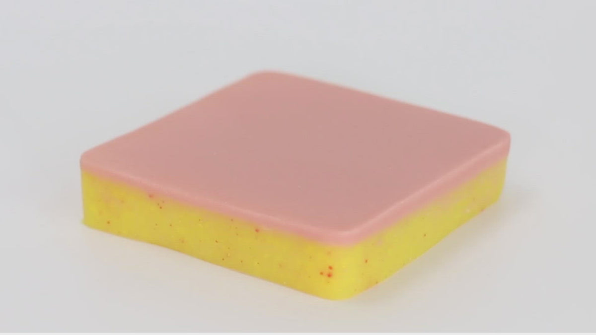 Tissue Model – Simulab Corporation