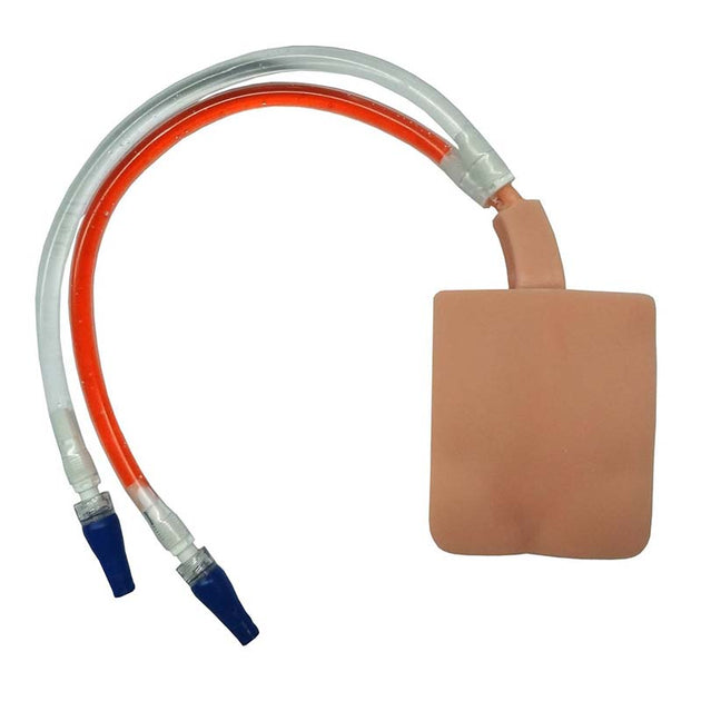 Lumbar Puncture Tissues – Simulab Corporation