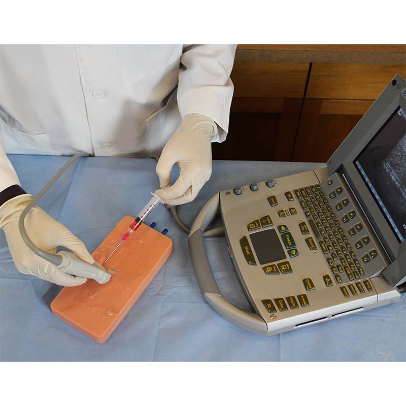 Large Venipuncture Pad with Nerves – Simulab Corporation