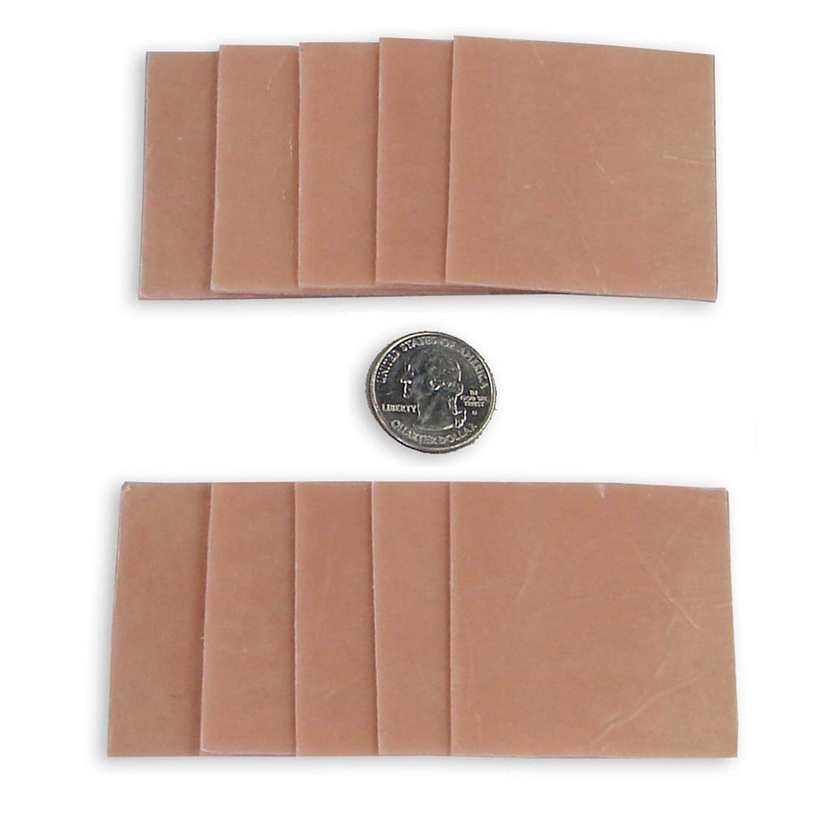 Simulated Tissues (10-Pack) – Simulab Corporation